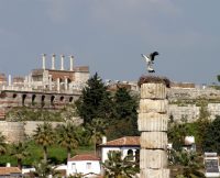 History of Ephesus - All that you need to know before visiting Ephesus